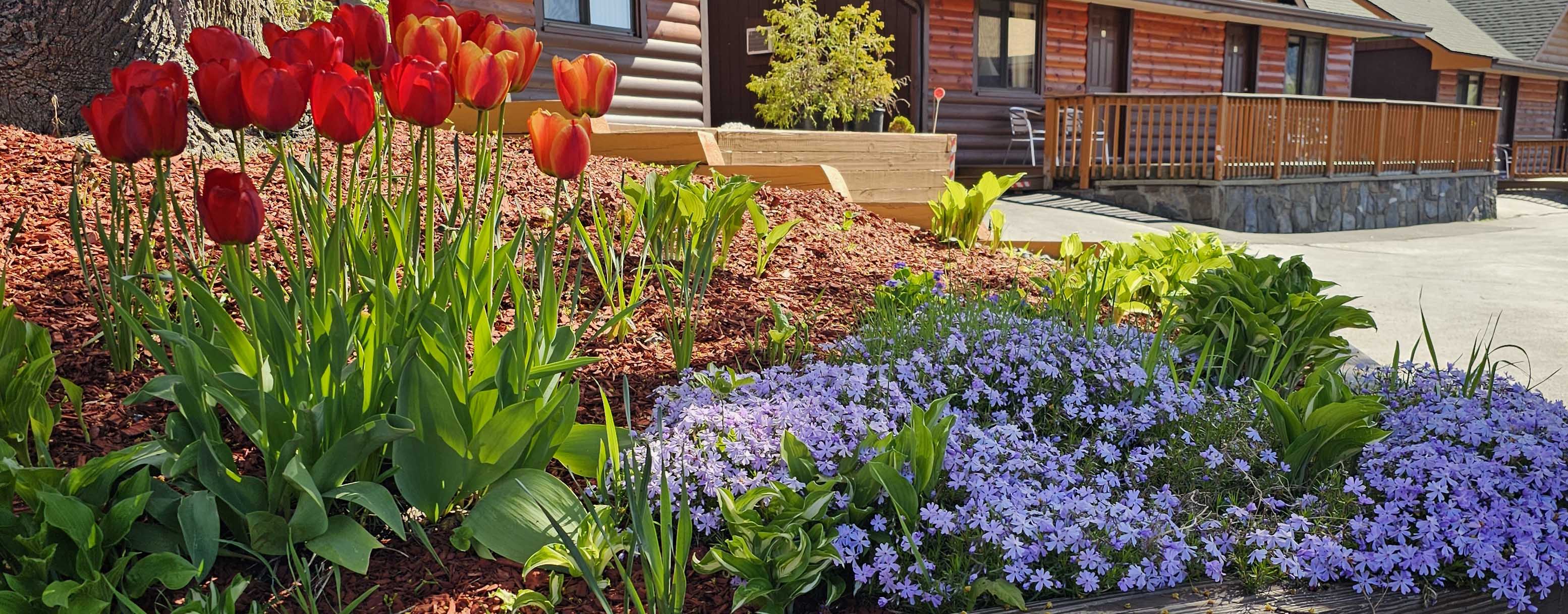 The Four Seasons of Lake George | Lake Crest Inn